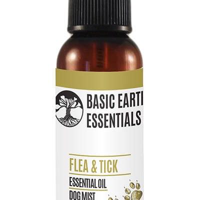 Home | Basic Earth Essentials